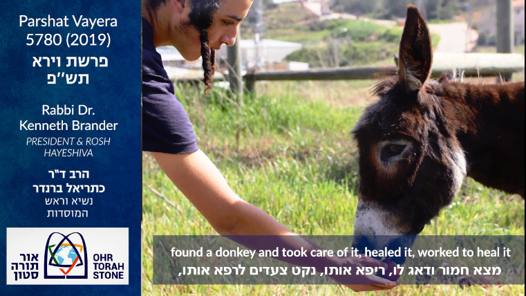 "Parsha and Purpose" - Vayera 5780 - Ohr Torah Stone